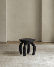 Jelly Stool | Playful Rainwood Accent Stool - ZM Home